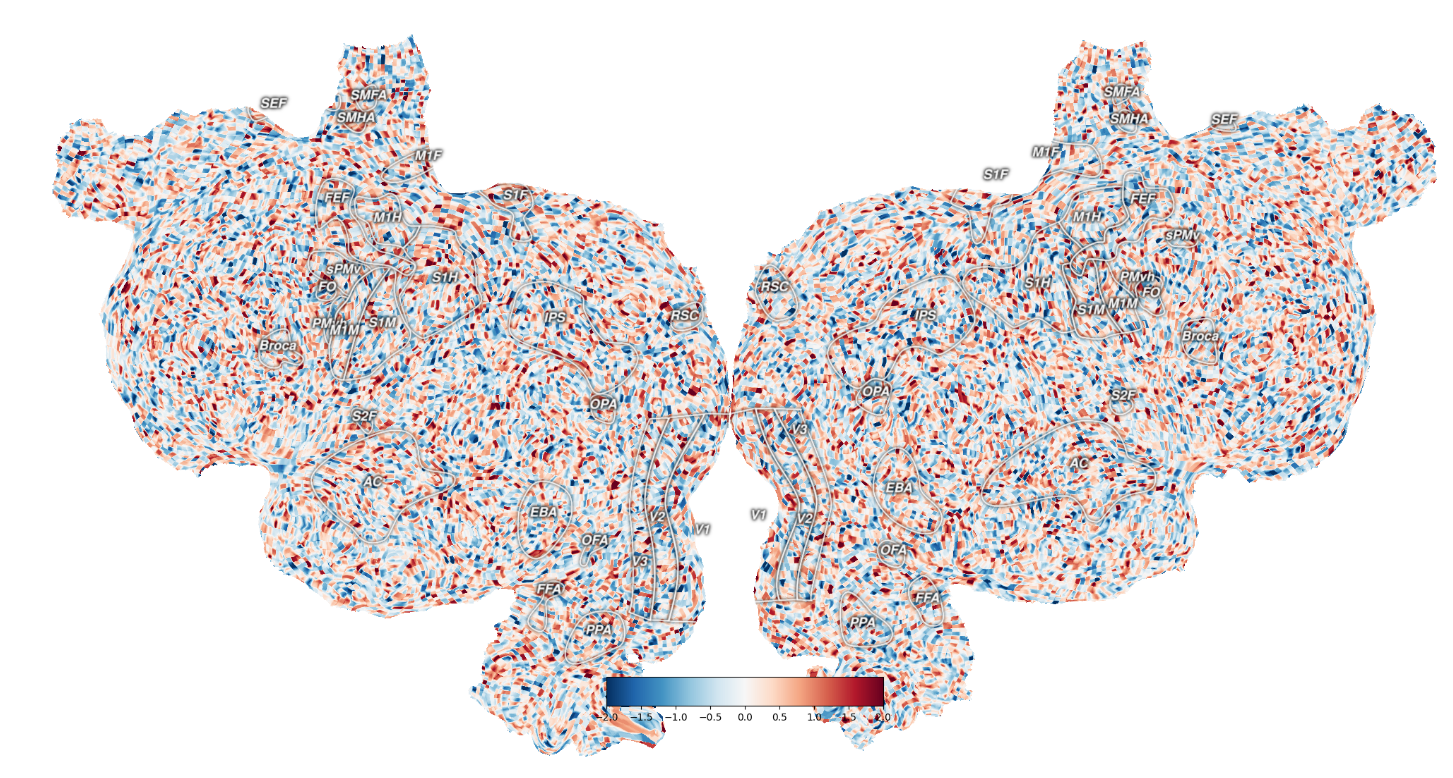 How to Visualize the NSD Dataset with Pycortex? - Ababababa’s Homepage😊